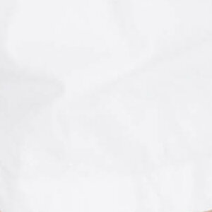 Superstar Silver Leather Pony Hair Heel Sneaker | Mitchell Stores