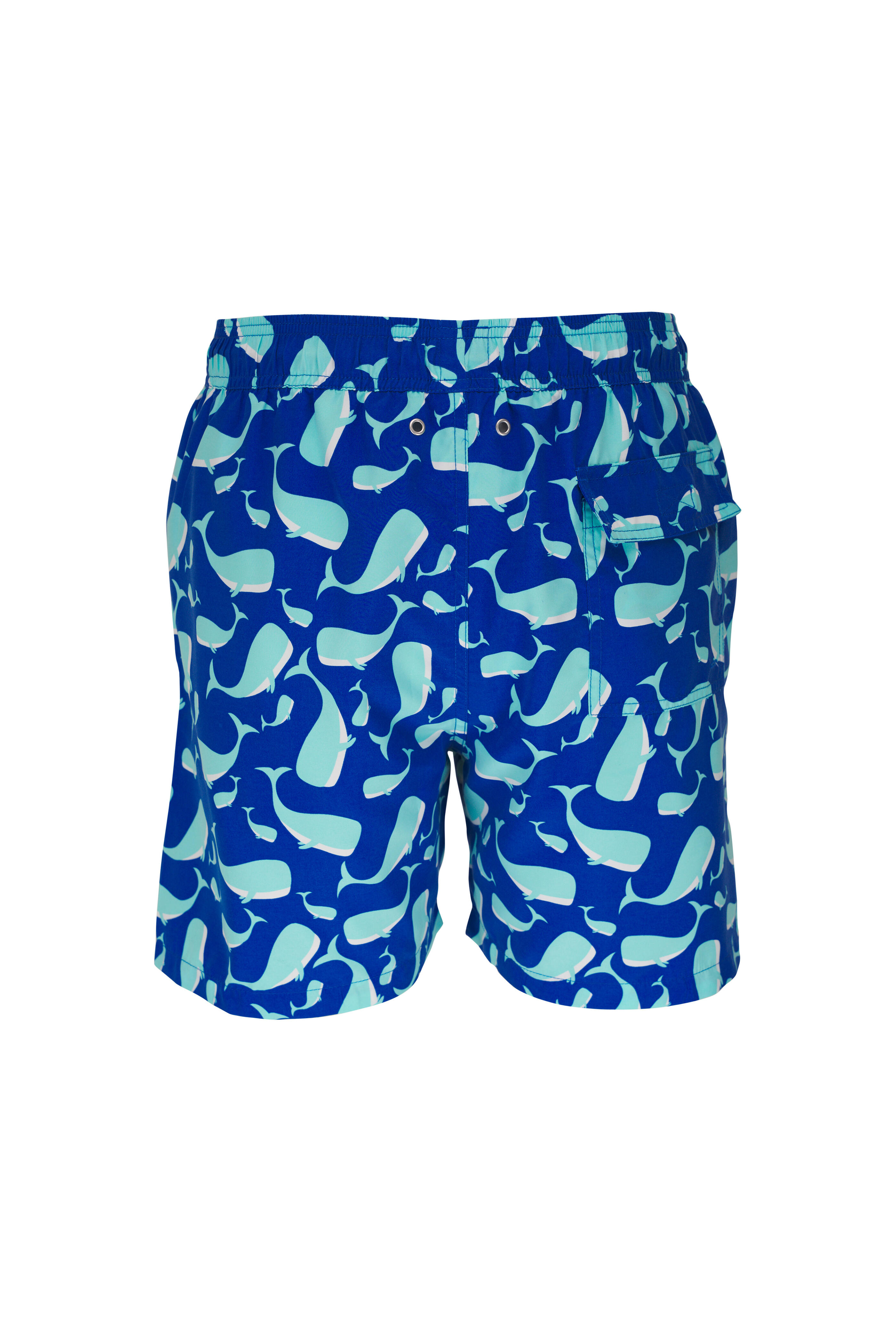 Tom & Teddy - Navy & Aqua Whale Print Swim Trunks